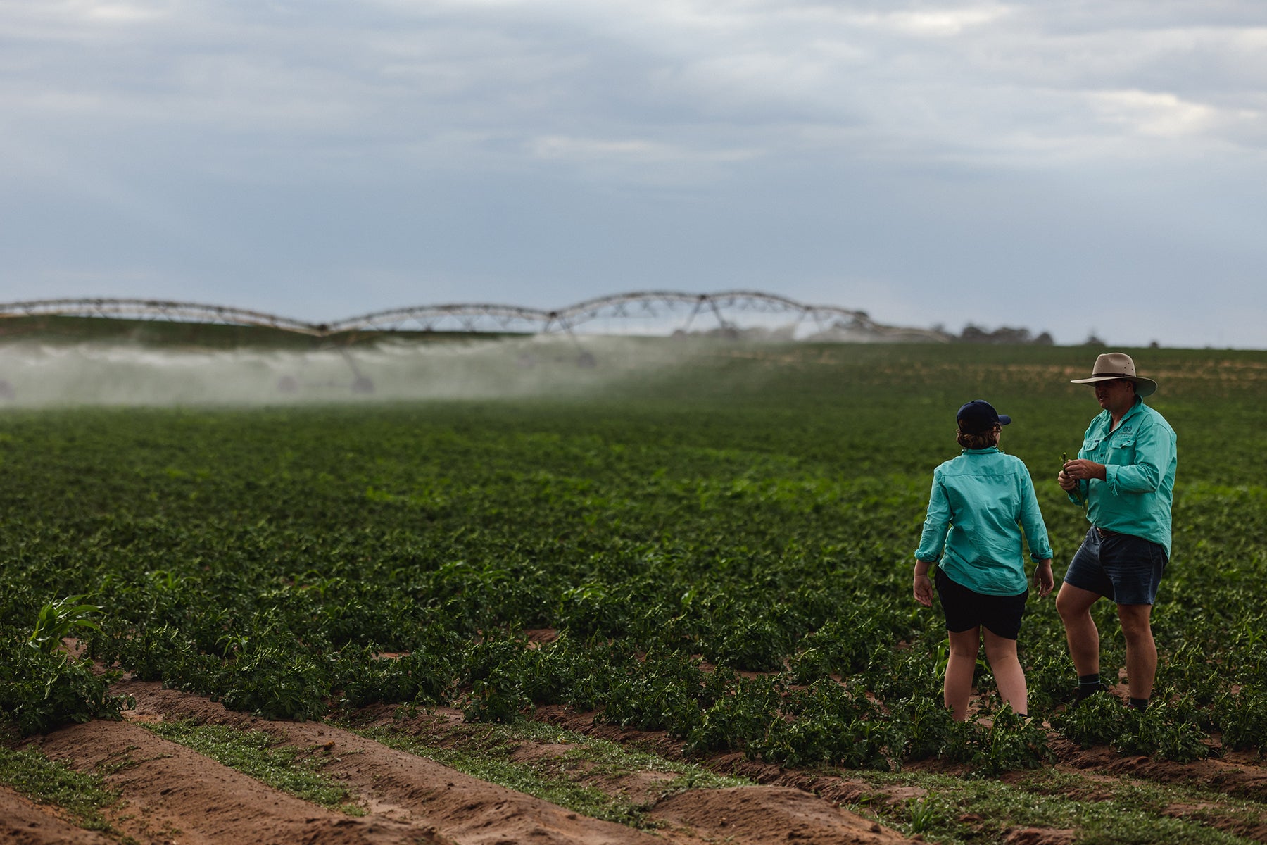 About – Longtrail Farms